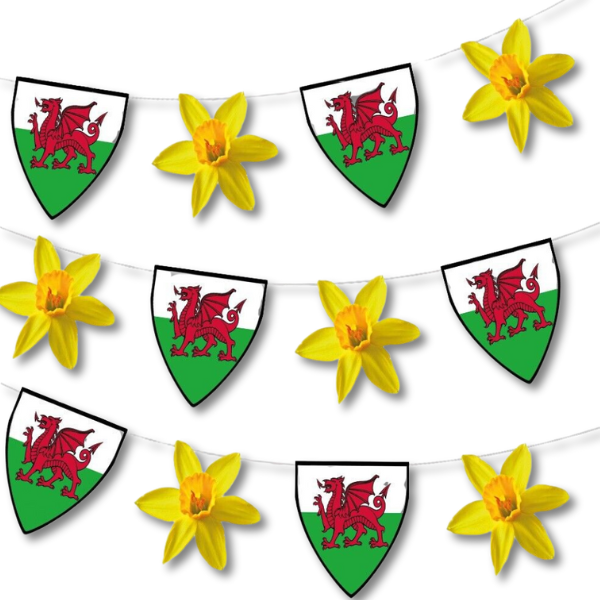 St. David's Day Wales and Daffodil Bunting Party Decorations – BRITISH ...