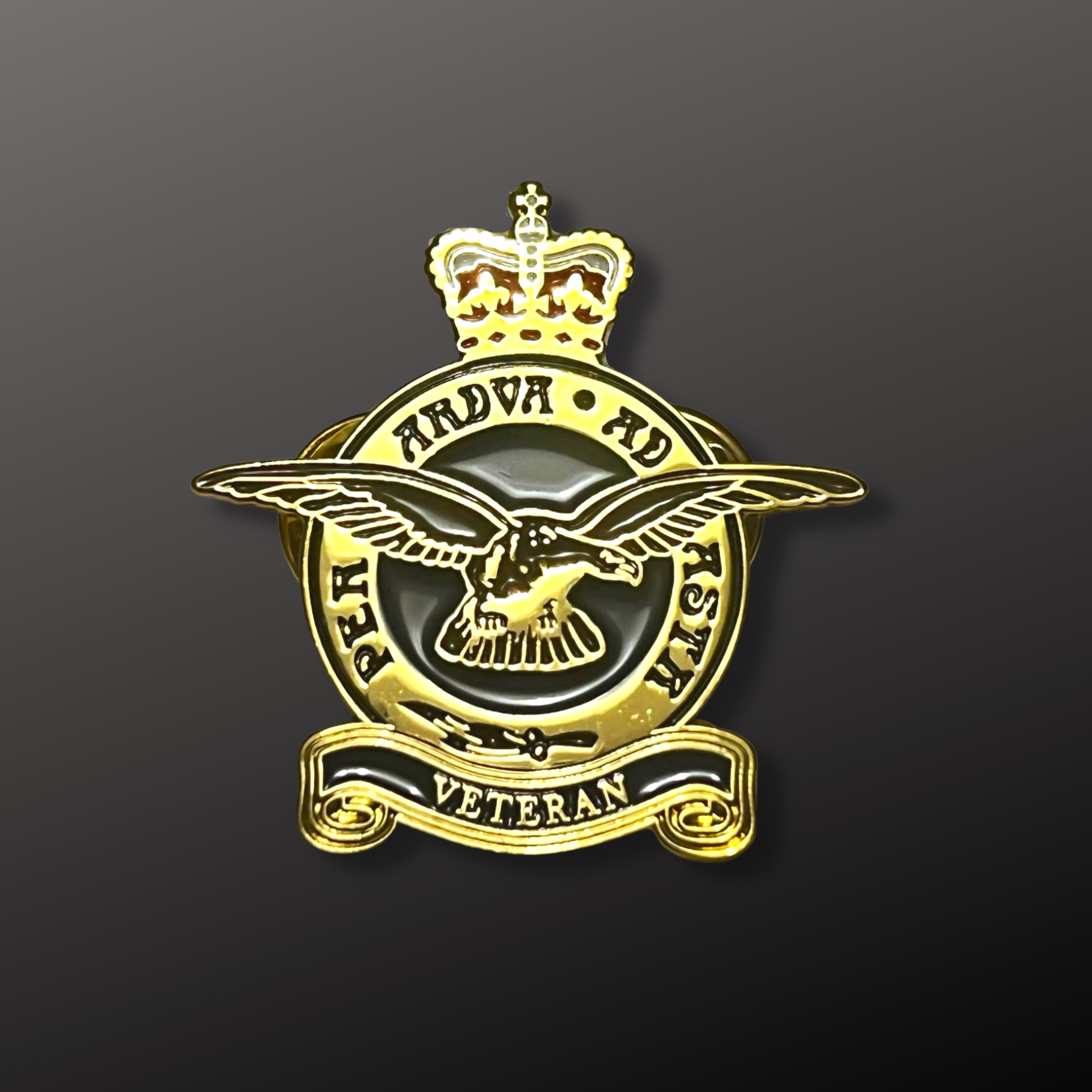 RAF VETERAN Enamel Military Pin Badge (Black and Gold) – BRITISH PRIDE